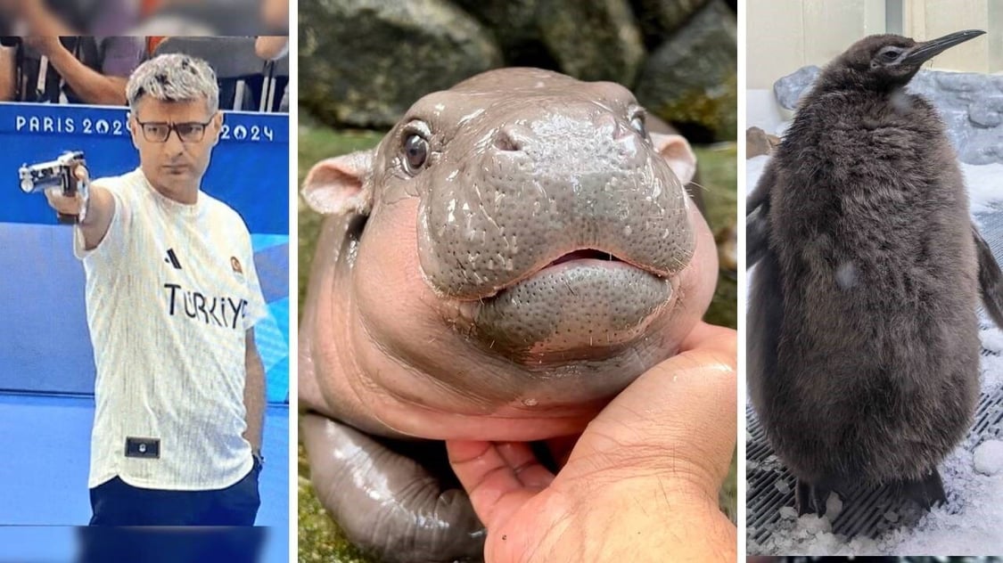 9 Incredible Things That Shaped 2024